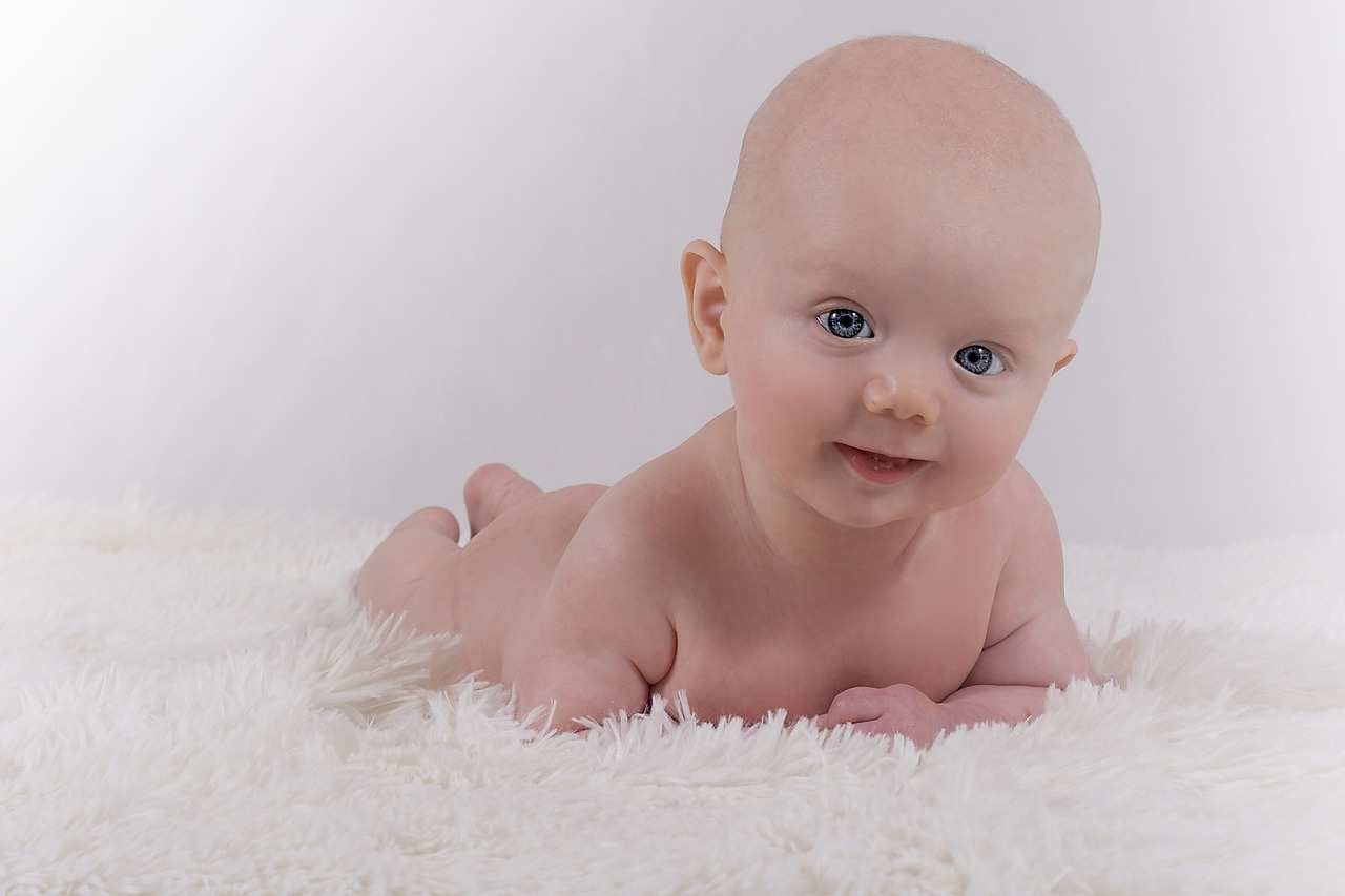 50 Cute Indian Baby Boy Names That Mean Bird With Their Synonym 2021